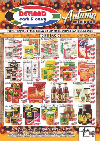 DEVLAND Specials • Friday 22 Jul to Wednesday 24 Aug 2022